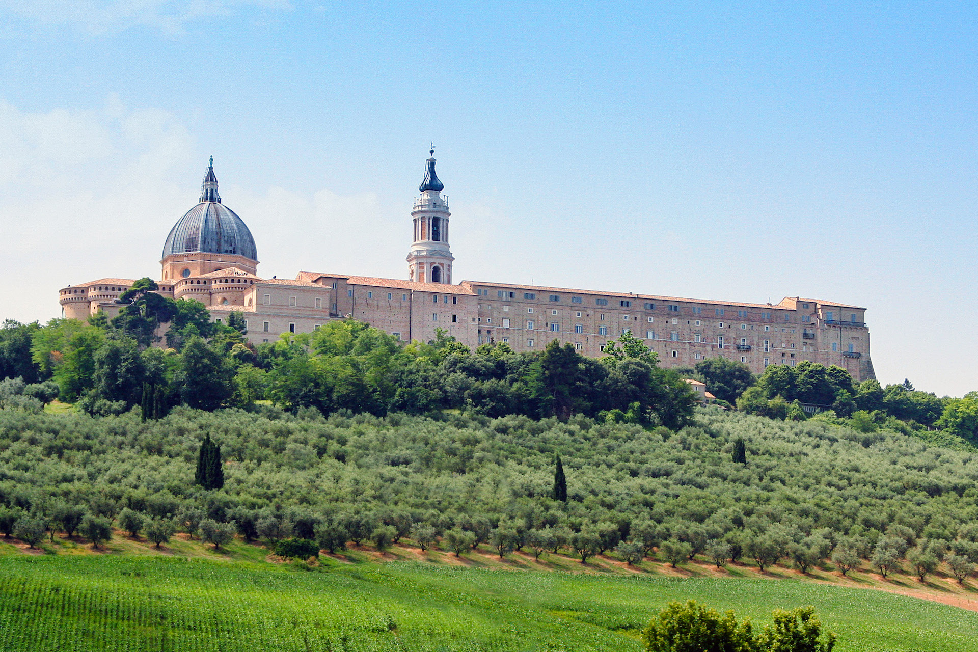 Dal territorio arriva l'olio buono delle Marche IGP - Food Brand Marche